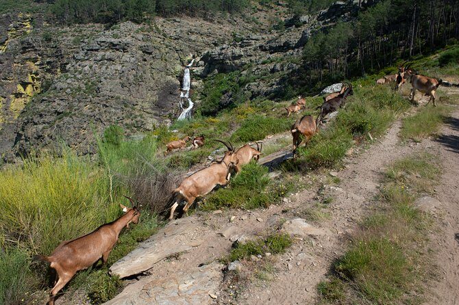 Fisgas de Ermelo Trail - FAQ