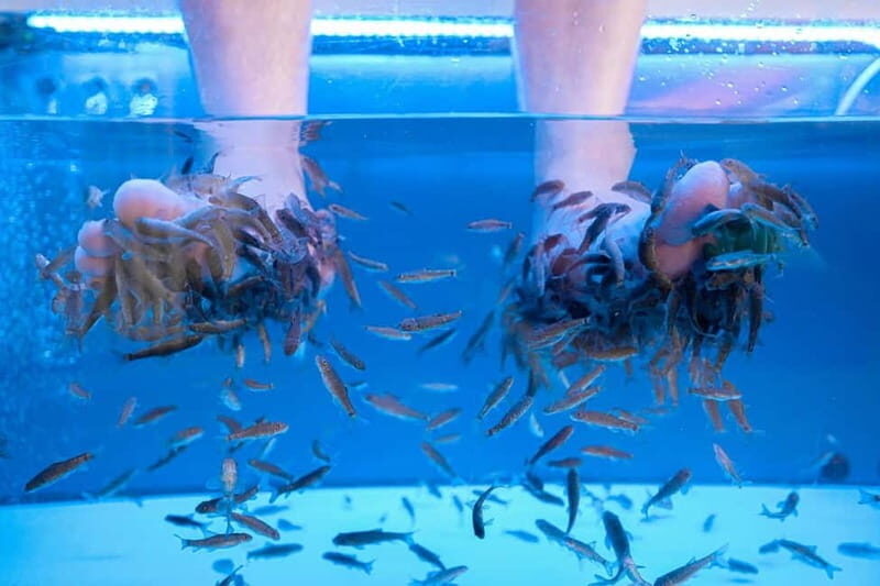 Fish Spa Experience Playa Fañabe - The Experience Itself: Step-by-Step