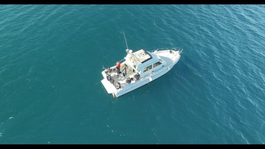 Fishing Trip all included - Exploring the Experience: What to Expect on the Water