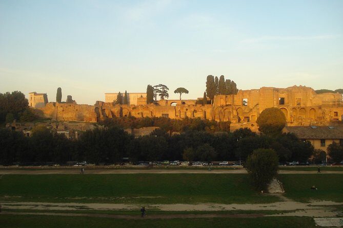 Fiumicino Airport to Rome - Private transfer - The Real Experience: Reviewing the Service