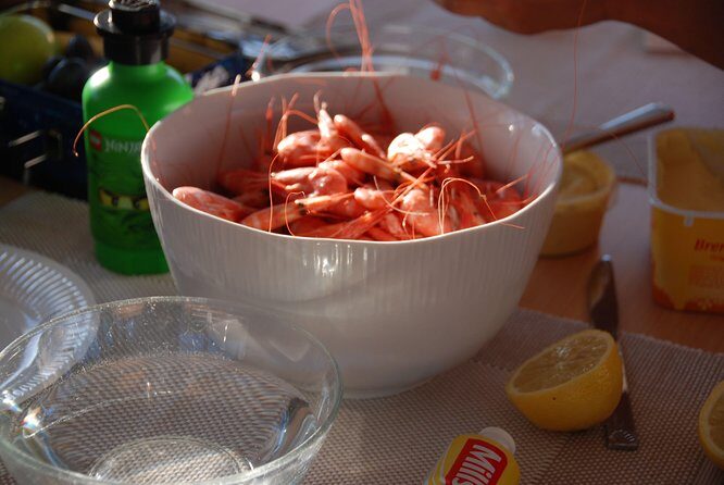 Fjord Cruise with Luxury Catamaran in Tromso - Why It Offers Great Value for Money