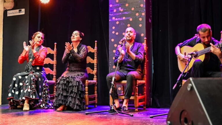 Flamenco Show at La Guarida del Angel with Drink - What to Expect During the Show