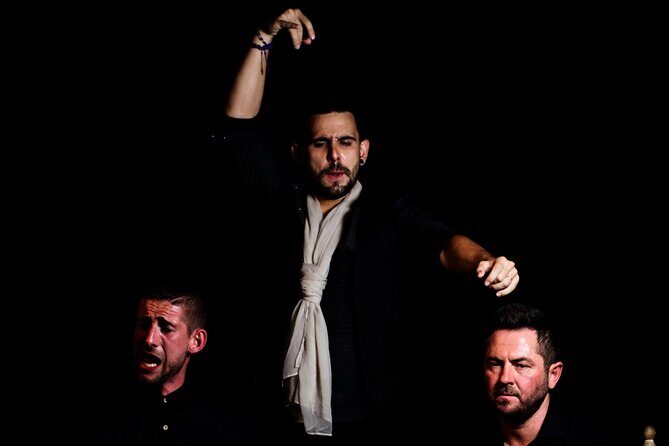 Flamenco show at the foot of the Giralda in Seville - The Artistic Quality and Variability