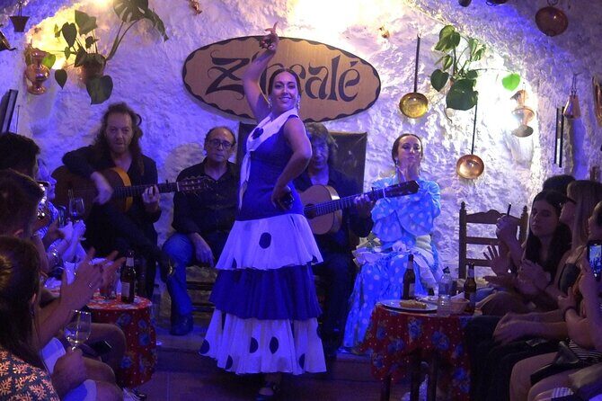 Flamenco Show in Cueva Zincalé - Who Should Consider This Tour?
