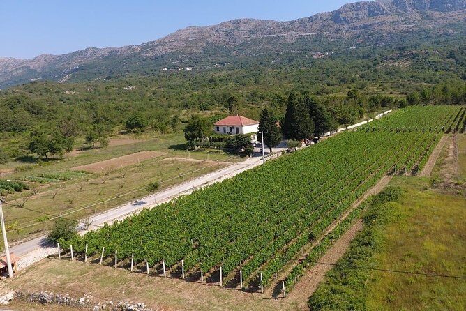 Flavours of Konavle: Wine, Food & Village Life Experience - An In-Depth Look at the Tour Experience