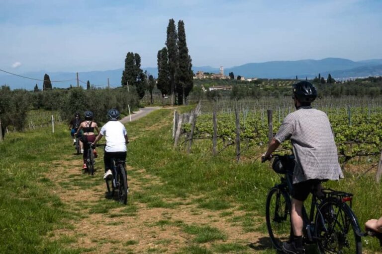 Florence: Chianti Hills Bike Tour with Farm Lunch & Wine - The Experience in Detail
