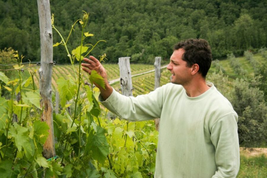 Florence: Chianti Villages, San Gimignano and Winery Tour - What the Reviews Reveal