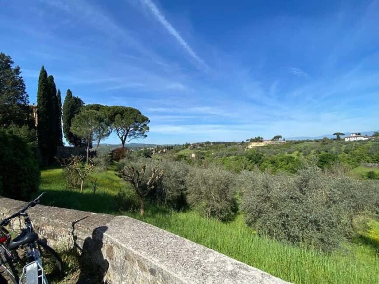 Florence: E-Bike Tour in Tuscany with Winery & Wine Tasting - What Makes This Tour Stand Out?