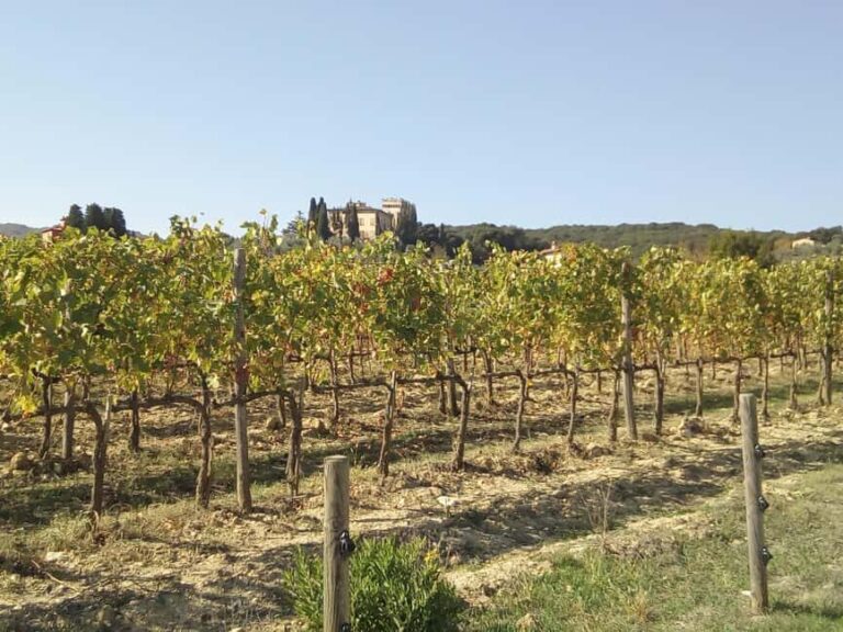 Florence: Horseback Riding Tour with Wine Tasting & Transfer - A Closer Look at the Experience