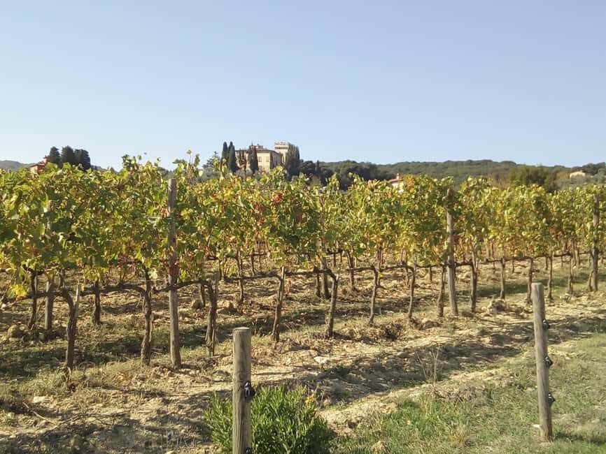 Florence: Horseback Riding Tour with Wine Tasting & Transfer - A Closer Look at the Experience