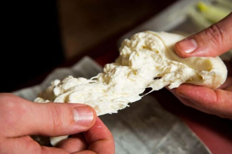 Florence: Mozzarella Making Workshop with Wine Tasting - What To Expect: A Thorough Breakdown