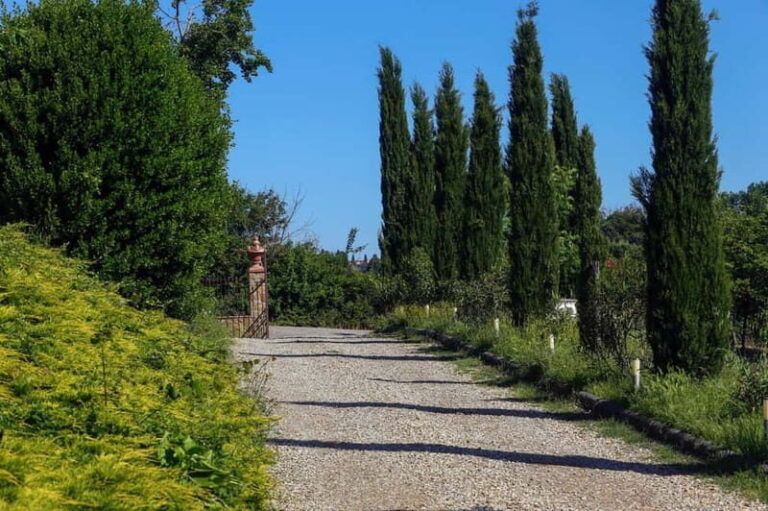 Florence: Private Horseback Ride with Tuscan Lunch or Dinner - The Itinerary: What to Expect