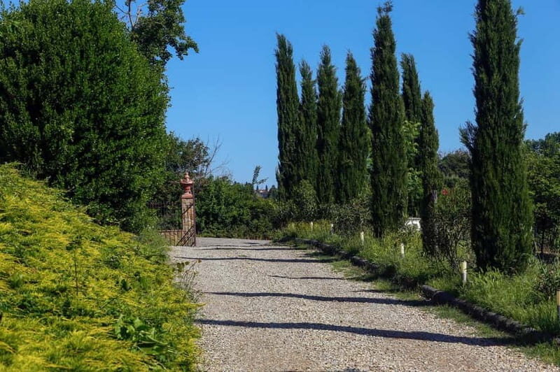 Florence: Private Horseback Ride with Tuscan Lunch or Dinner - The Itinerary: What to Expect