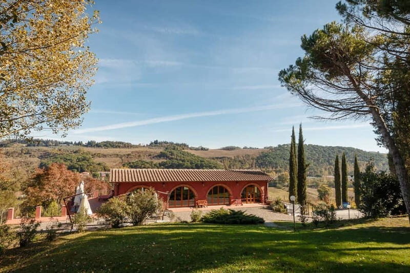 Florence: Wine Tasting at a Vineyard With a Local Winemaker - Inside the Cellar: From Grape to Bottle