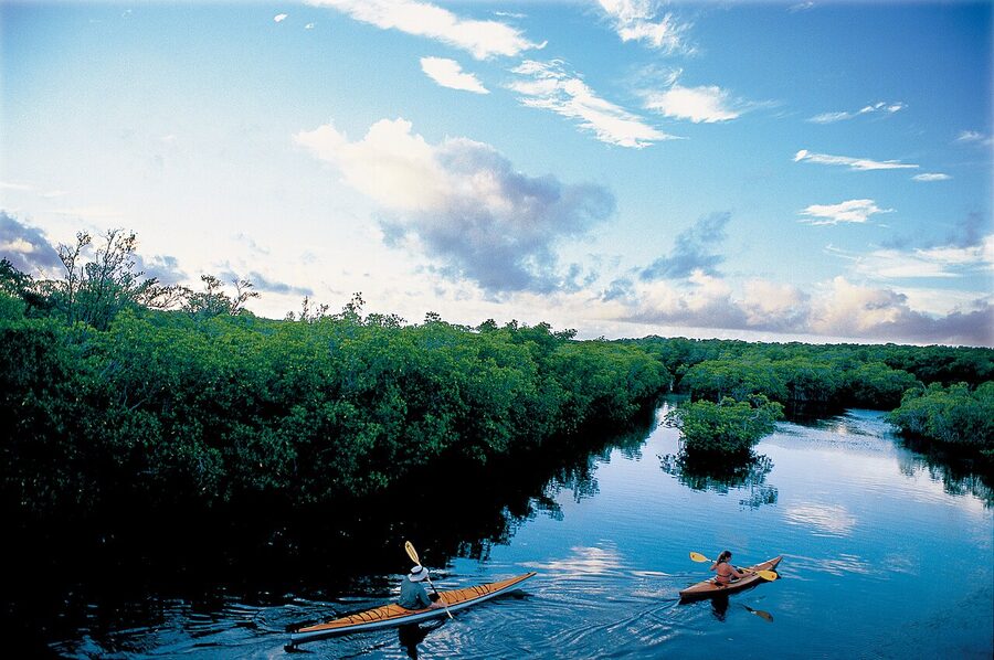Two kayakers on calm water in Curry Hammock State Park, Florida Keys