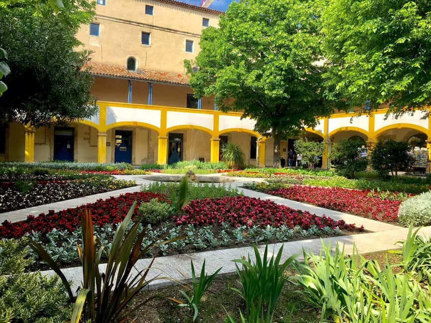 Following the steps of Van Gogh - Why This Tour Works for Travelers