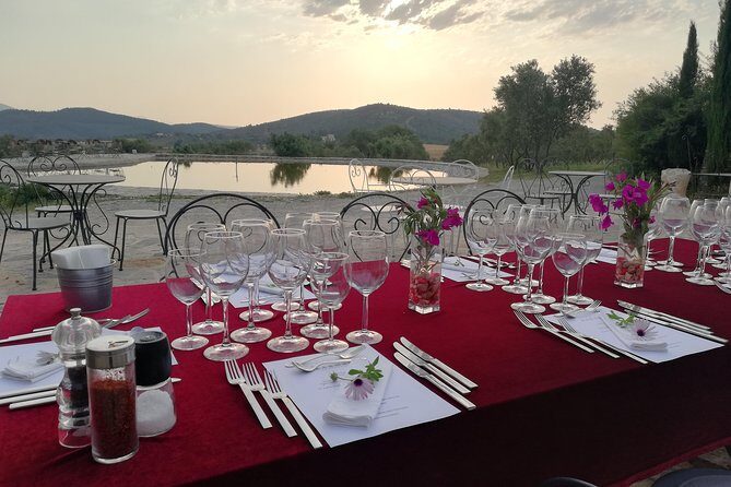 Food and Wine pairing Dinner at Karnas Vineyards Bodrum - The Food and Wine Experience: Why It Works