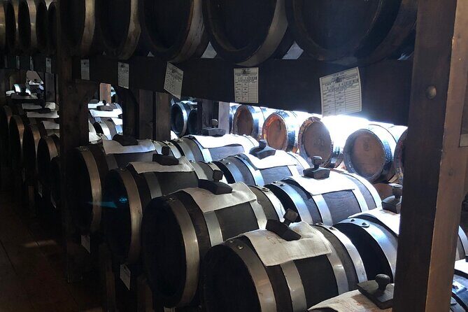 Food Excellences:Prosciutto, Parmigiano, Balsamic,Lunch,Transport - A Deep Dive into the Experience