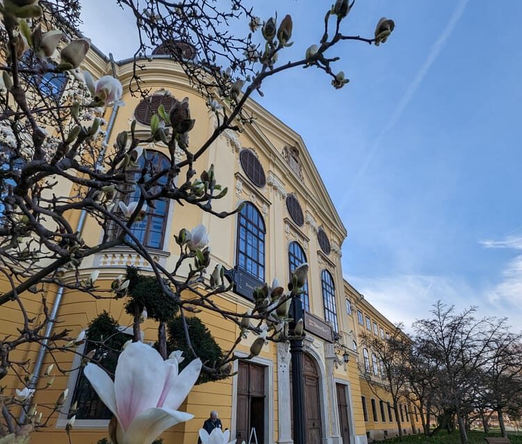Food, Wine And Sightseeing Tour in Oradea, Romania - What Makes This Tour Stand Out?
