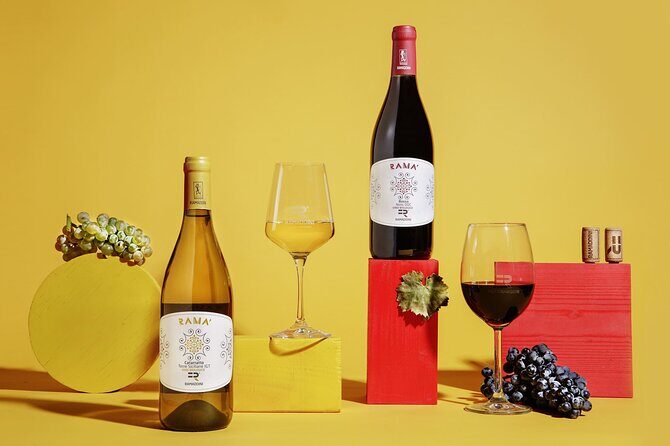 FR Lovers Wine Tasting - Vineyard Visits