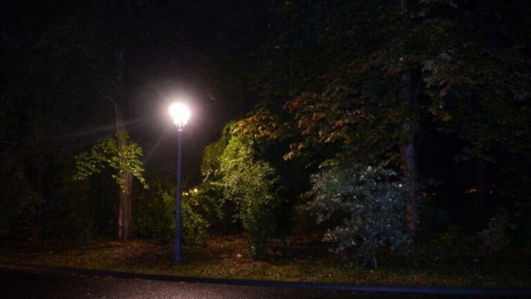 Frankfurt: The Black Death Tour - Why You Should Consider This Tour