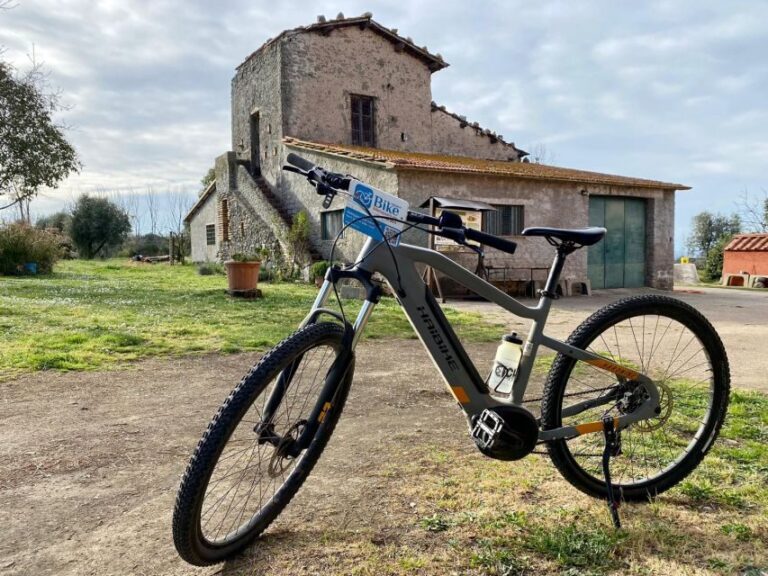 Frascati: Tour in E-Bike with Wine Tasting - The Experience from a Guest Perspective