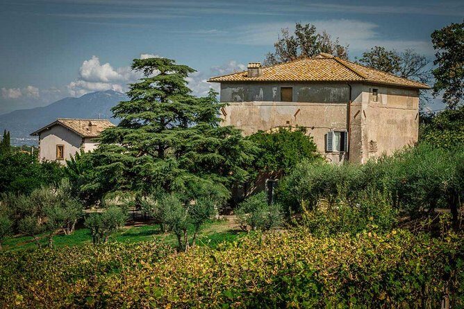 Frascati Wine Tasting Tour: The Flavors of the Roman Countryside - Who Will Love This Experience?