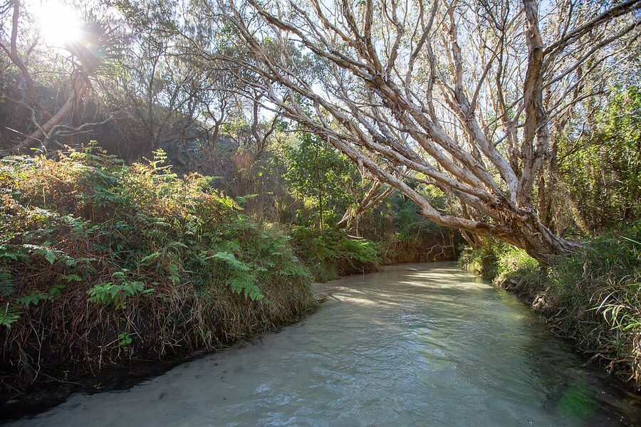 Eli Creek on K'gari Fraser Island