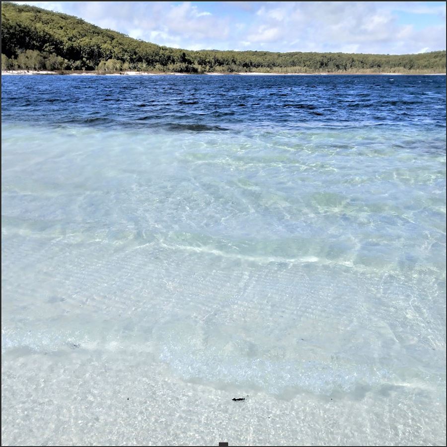 Aerial view of Lake McKenzie on K'gari Fraser Island