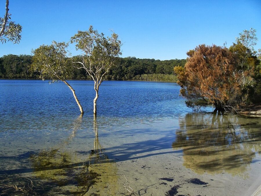 Lake McKenzie shoreline on Fraser Island