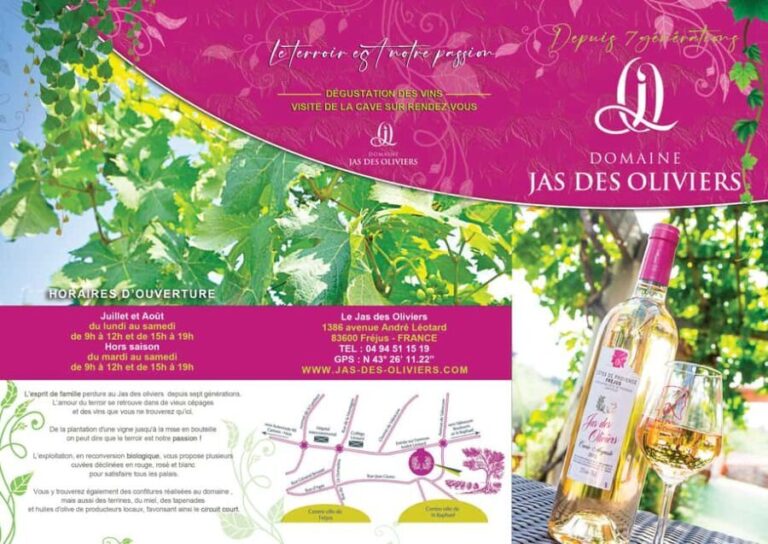 Fréjus: Cave tour and wine tasting - What You Can Expect During the Tour