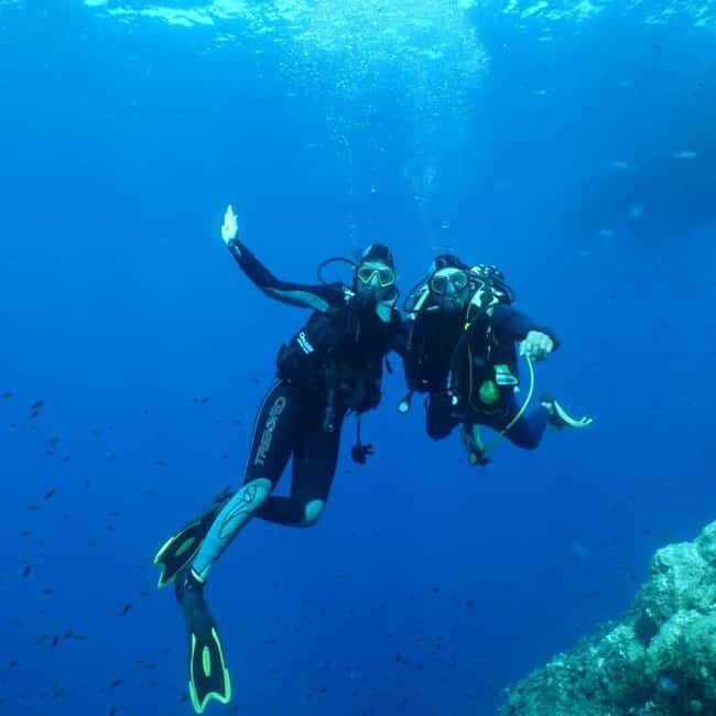 Fréjus: Diving Experience in Port-Fréjus with an Instructor - Potential Drawbacks or Considerations