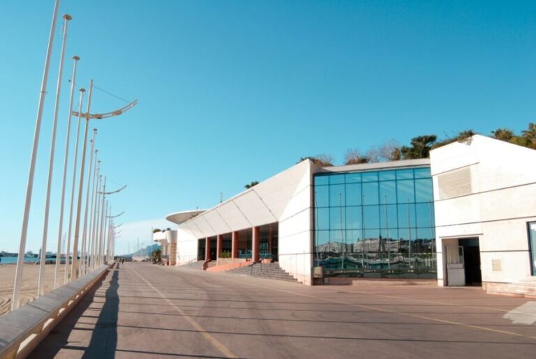 French Riviera and Provence Private Day Trip - Transportation and Group Dynamics