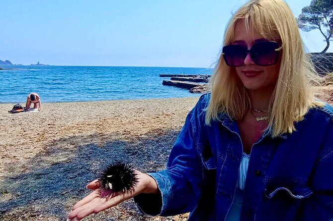 French Riviera Colorado & Var West by Train (from Cannes/Nice) - Authentic Experiences & Real Insights from Reviews