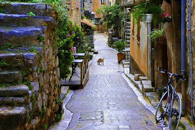 French Riviera & Medieval villages Full Day Private Tour - Transport, Timing, and Group Size