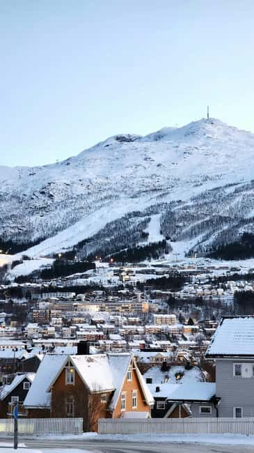 From Abisko: Narvik City and Fjord Day Trip - What Makes This Tour Stand Out?