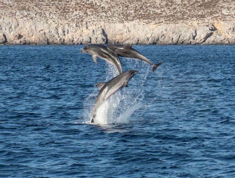 From Agia Anna: Sunset Boat Cruise with Refreshments - A Closer Look at the Sunset Boat Cruise