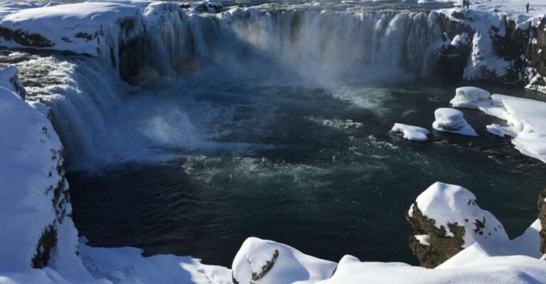 From Akureyri: Lake Myvatn and Godafoss Guided Tour - An In-Depth Look at the Tour Experience