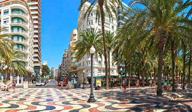 From Albir & Benidorm, Alicante Discovery day trip - Authentic Experiences and Local Insights