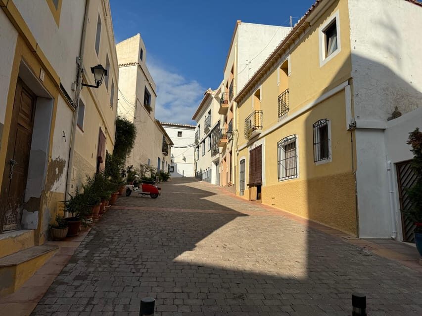From Albir & Benidorm: Calpe Old Town and Port Day Trip - Who Is This Tour Best Suited For?