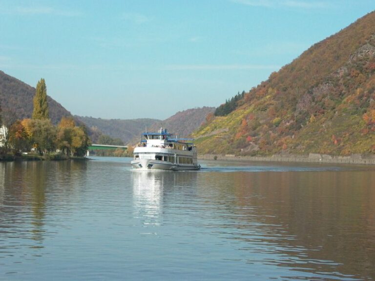 From Alken: Moselle Valley Sightseeing Cruise - What to Expect During the Cruise