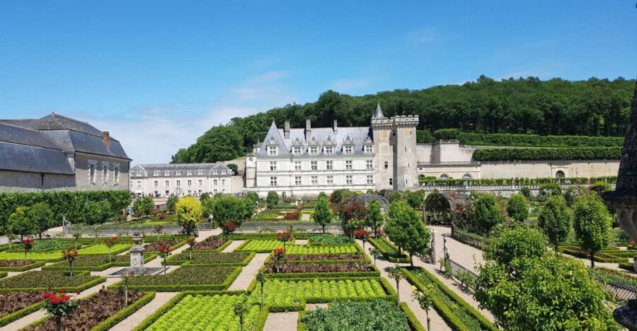 From Amboise: Villandry, Azay-le-Rideau & Local Wineries - A Close Look at the Itinerary and What You Can Expect
