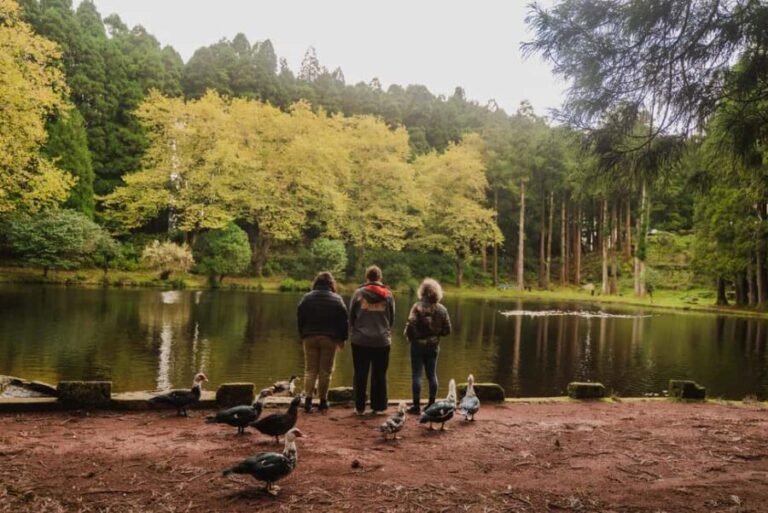 From Angra: Terceira Island Half-Day Tour - How the Tour Delivers Value