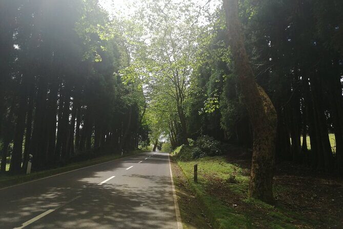 From Angra: Terceira Island Half-Day Tour (Private) - Practical Details and What to Expect