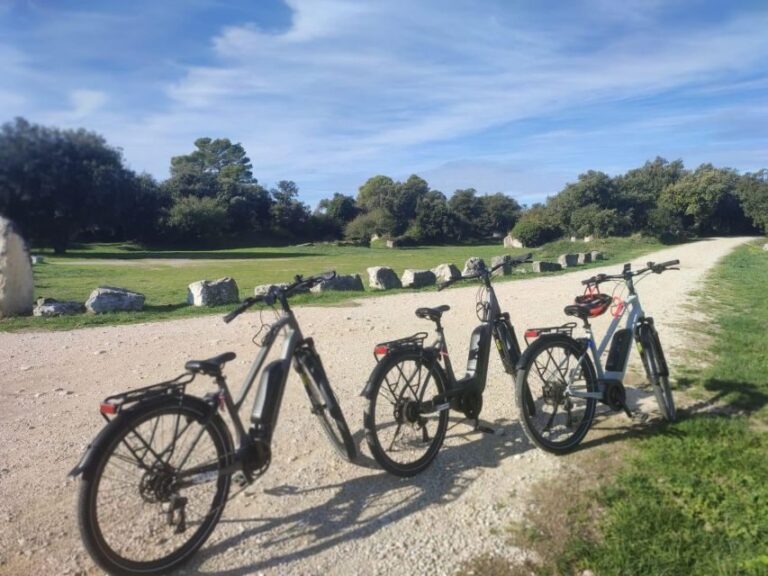 From Avignon: Full-Day E-Bike Tour in the Luberon Region - Why the Experience Works