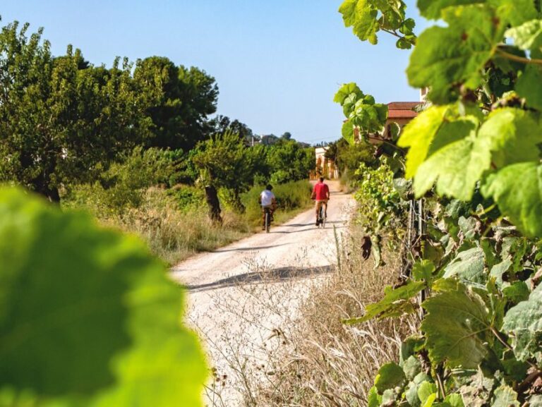 From Barcelona: Penedès E-Bike Tour with 2 Winery Visits - The Itinerary: What to Expect on Your Day