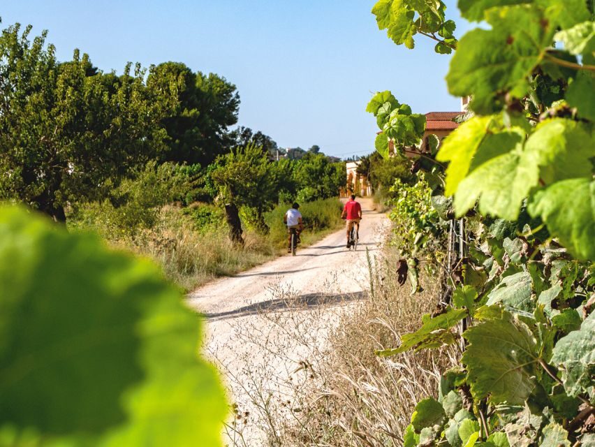 From Barcelona: Penedès E-Bike Tour with 2 Winery Visits - The Itinerary: What to Expect on Your Day