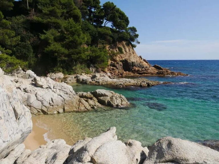 From Barcelona: Private Costa Brava Guided Tour - Transportation & Group Size