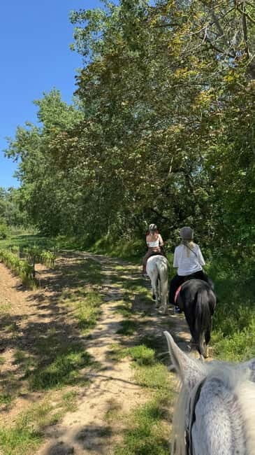 From Barcelona: PRIVATE Horseback Ride + Tapas + Picnic - Authentic Reviews and Insights