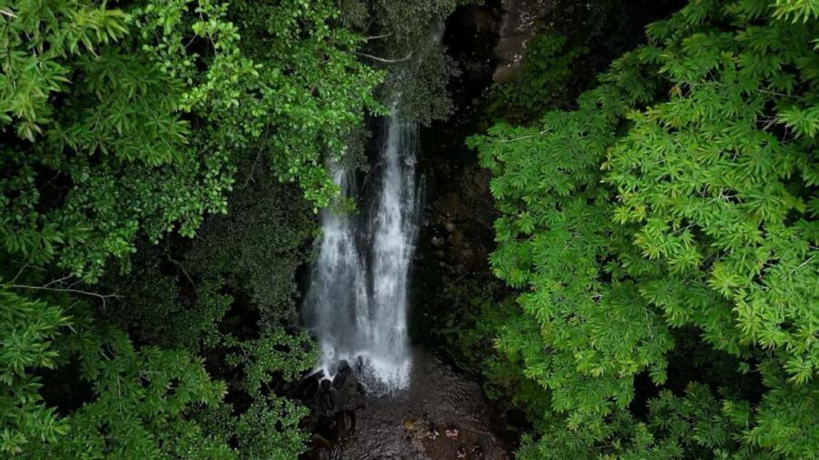 From Batumi: Adjara Adventure Tour - Who Would Love This Tour?